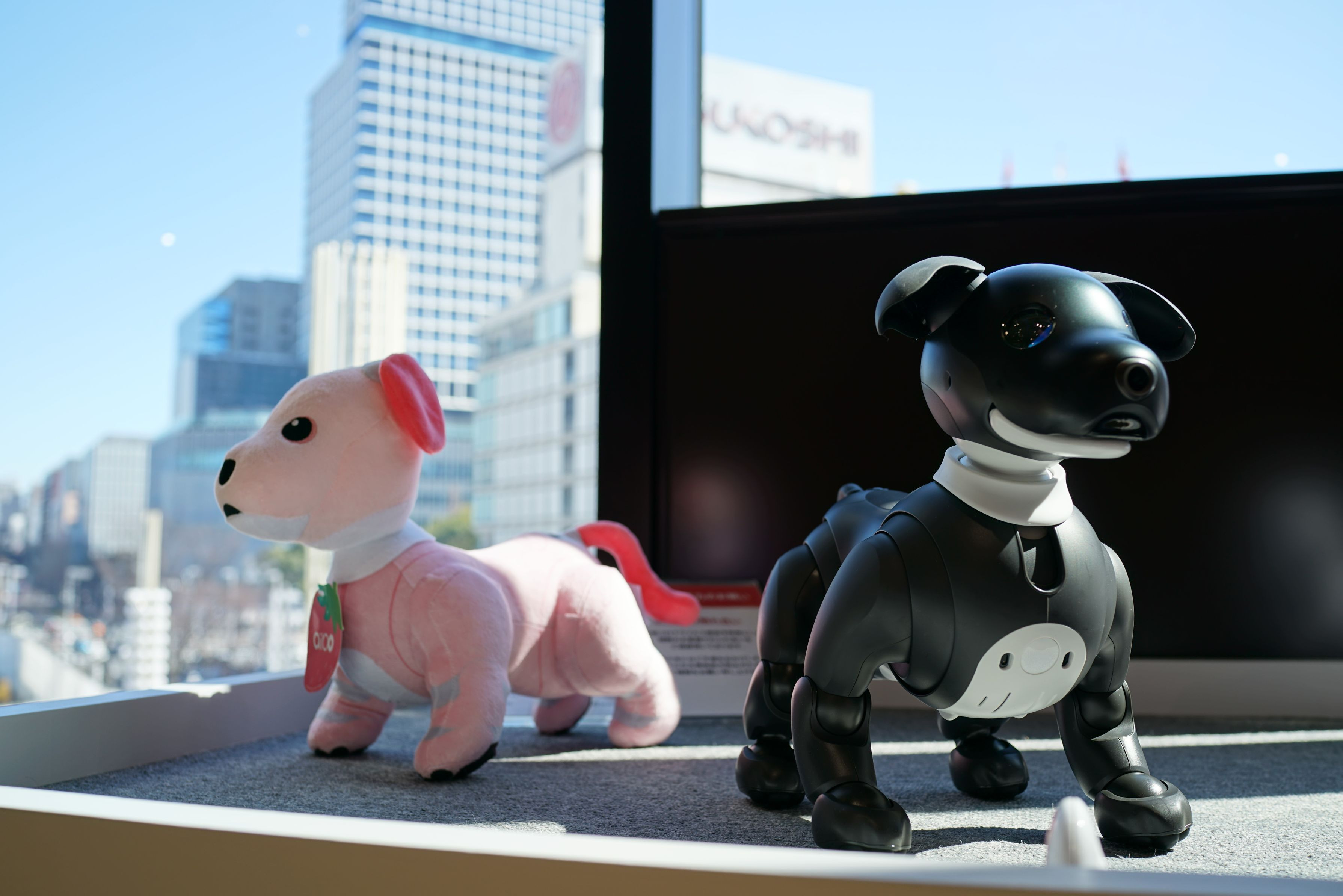 aibo エスプレッソエディション(トマトジュースさん) | αcafe αの写真投稿サイト ｜ ソニー