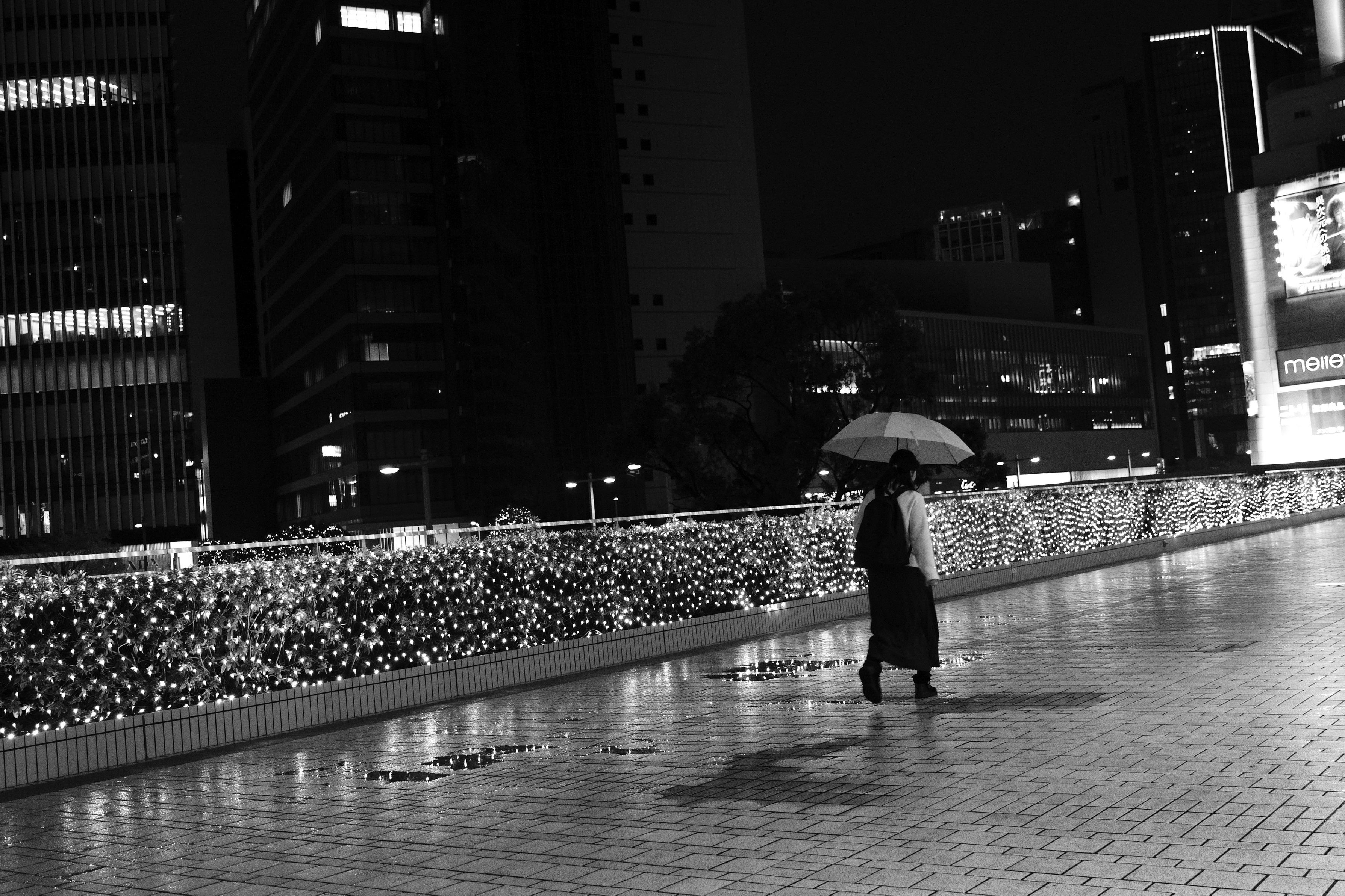 クリスマスの夜に(オシートさん) | αcafe αの写真投稿サイト ｜ ソニー