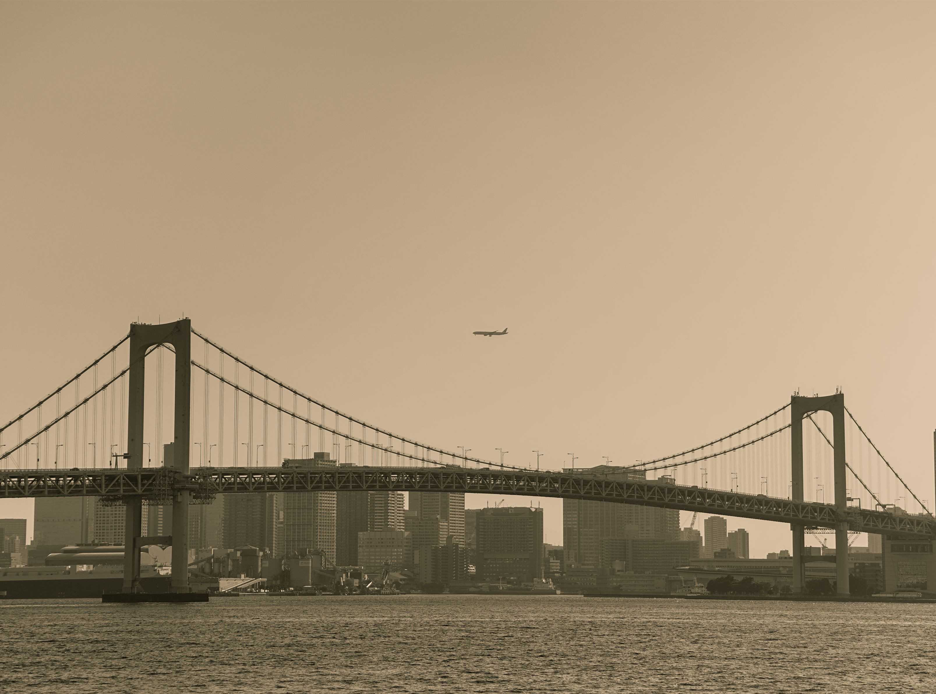 年末のご挨拶(ミモレット1さん) | αcafe αの写真投稿サイト ｜ ソニー