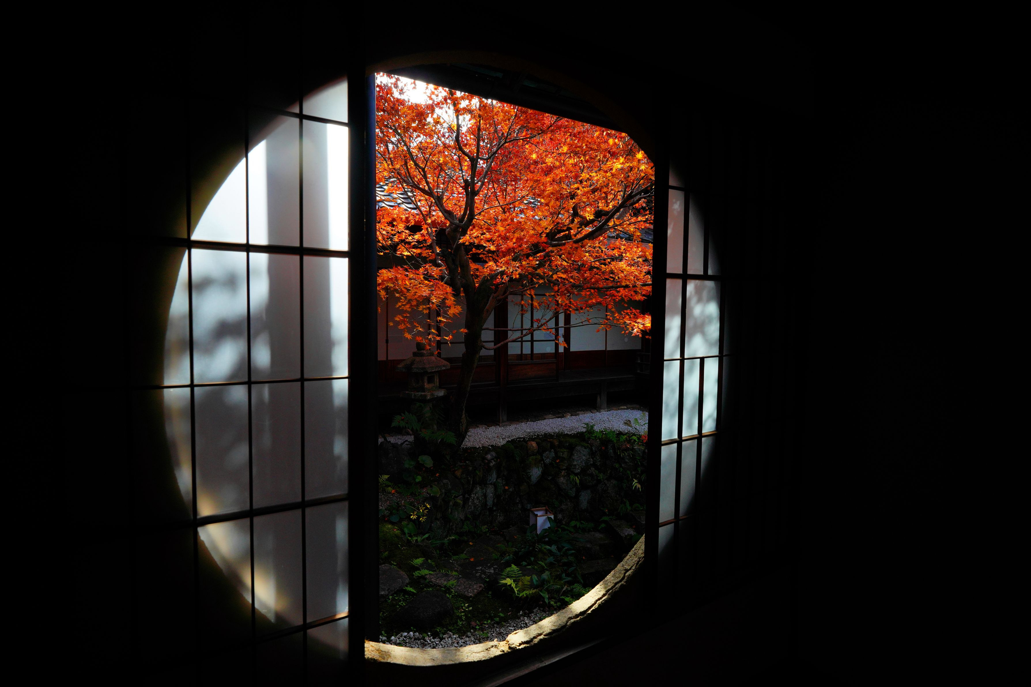 京都人の密かな愉しみ ――洛中の密かな秋――(タッシーさん) | αcafe αの写真投稿サイト ｜ ソニー