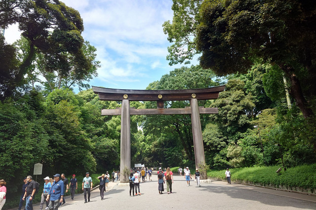 雨に洗われた新緑を撮影に、「明治神宮」へ街歩きです。(ビーフ・コロッケさん) | αcafe αの写真投稿サイト ｜ ソニー