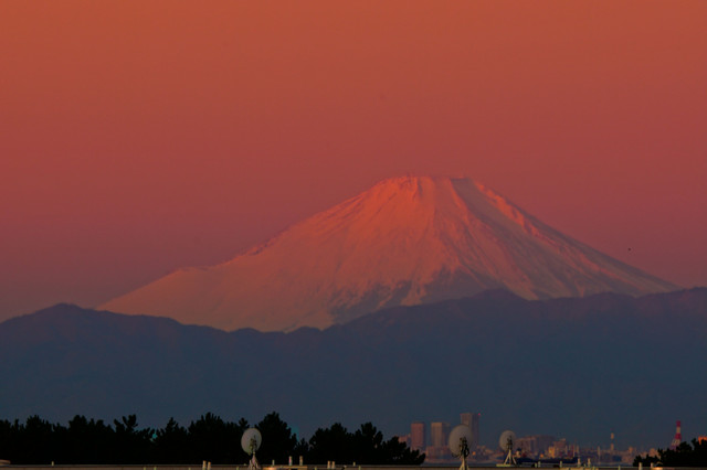 紅富士、、、、、(ノッチさん) | αcafe αの写真投稿サイト ｜ ソニー