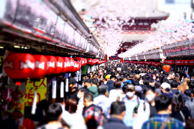 賑わう浅草寺参道(ノッチさん) | αcafe αの写真投稿サイト ｜ ソニー