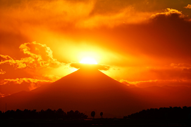 座布団富士(ノッチさん) | αcafe αの写真投稿サイト ｜ ソニー