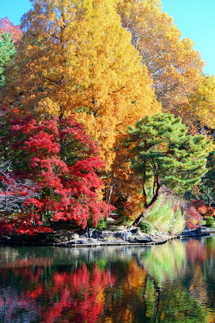 下ノ池の紅,黄,緑(ノッチさん) | αcafe αの写真投稿サイト ｜ ソニー