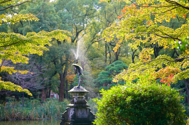 都心に秋の気配(ノッチさん) | αcafe αの写真投稿サイト ｜ ソニー