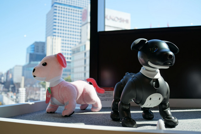 aibo エスプレッソエディション(トマトジュースさん) | αcafe αの写真投稿サイト ｜ ソニー