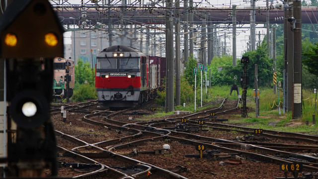 レッドベア（DF200-104）(vehicross301🍀さん) | αcafe αの写真投稿サイト ｜ ソニー