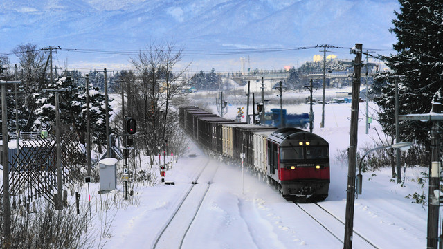 冬 レッドベア DF200--121(vehicross301🍀さん) | αcafe αの写真投稿サイト ｜ ソニー