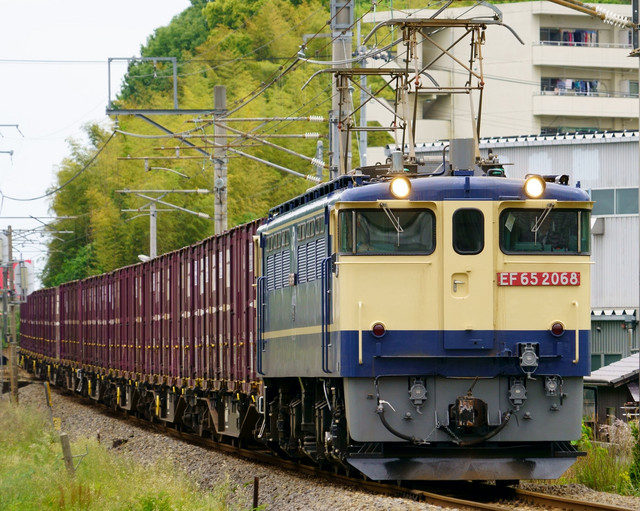 原色PF EF65 2068号機 四国運用(まささん) | αcafe αの写真投稿サイト ｜ ソニー