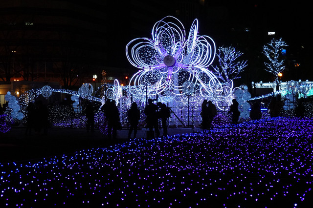 Luminous Flower(めとさん) | αcafe αの写真投稿サイト ｜ ソニー