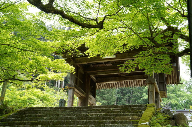 涼景(Hyper MWSさん) | αcafe αの写真投稿サイト ｜ ソニー