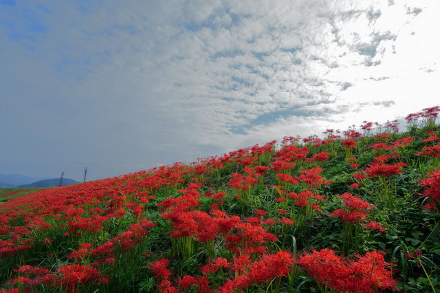 Impressive(Hyper MWSさん) | αcafe αの写真投稿サイト ｜ ソニー