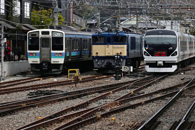 かお(やぶの-2さん) | αcafe αの写真投稿サイト ｜ ソニー