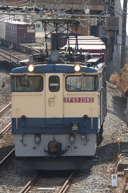 5086レのEF65を追いかけた最後の半年（2025年2月～2025年3月）(さっちゃんさん) | αcafe αの写真投稿サイト ｜ ソニー