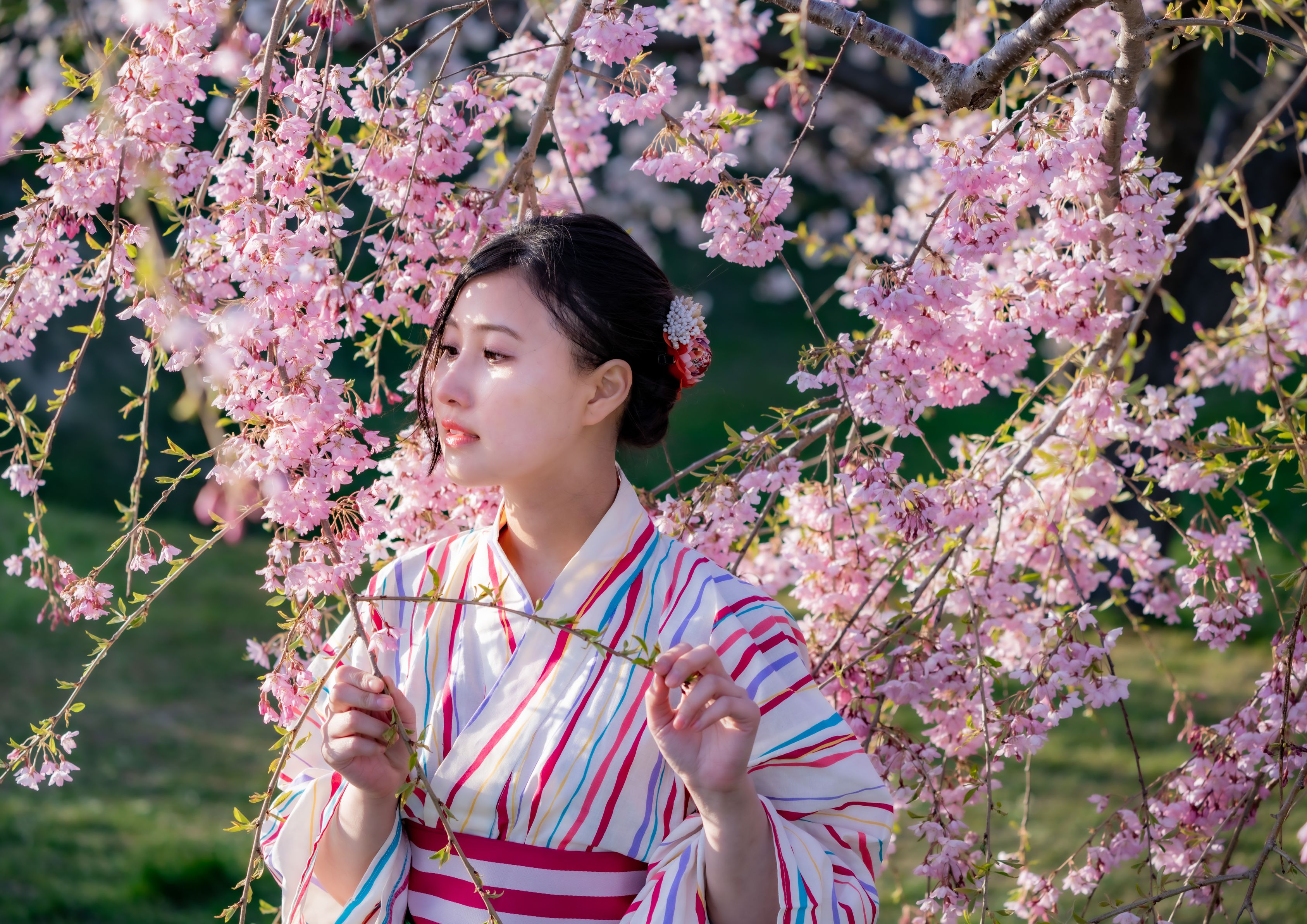 αcafe αの写真投稿サイト ｜ ソニー