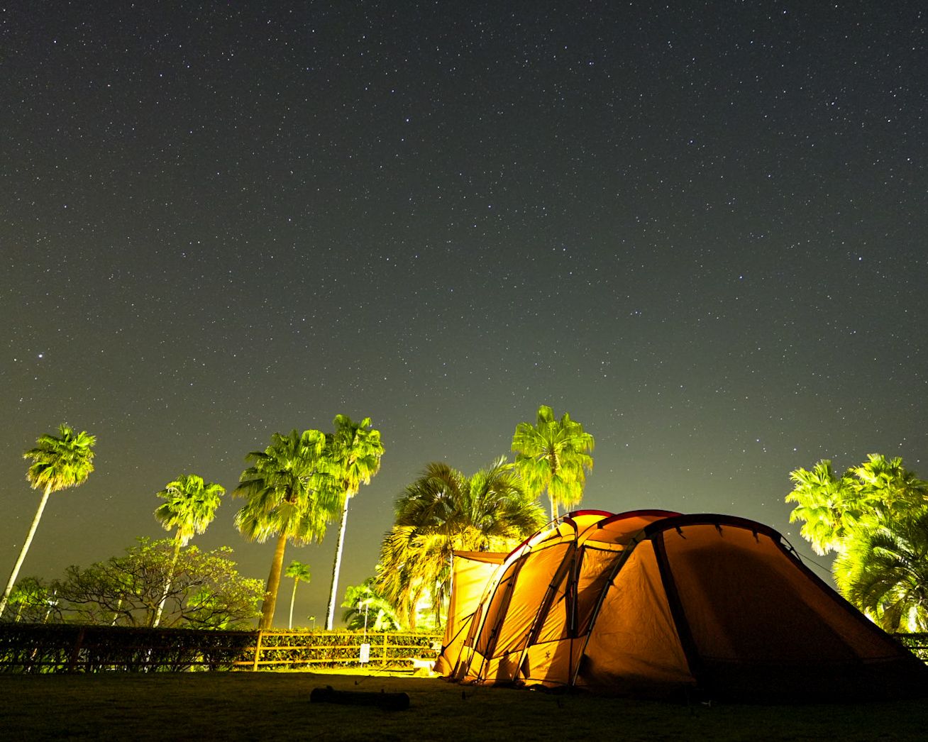 αcafe αの写真投稿サイト ｜ ソニー